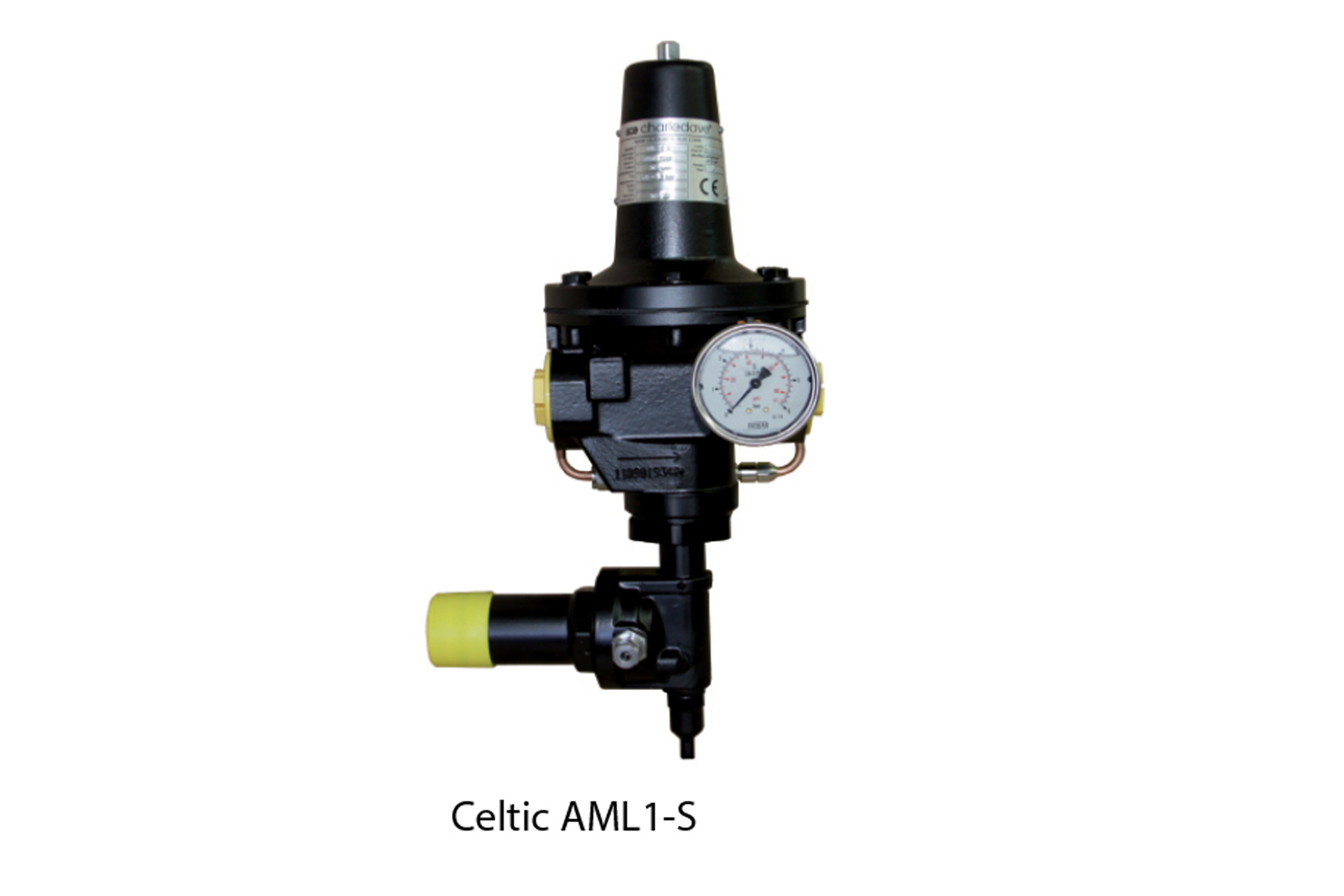 CELTIC AML1, RGCL - DIRECT REGULATORS (FIRST STAGE REGULATOR) from GCE ...